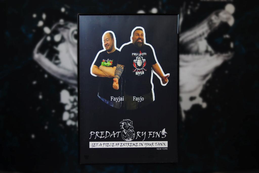 GEAR / MERCH — Predatory Fins
