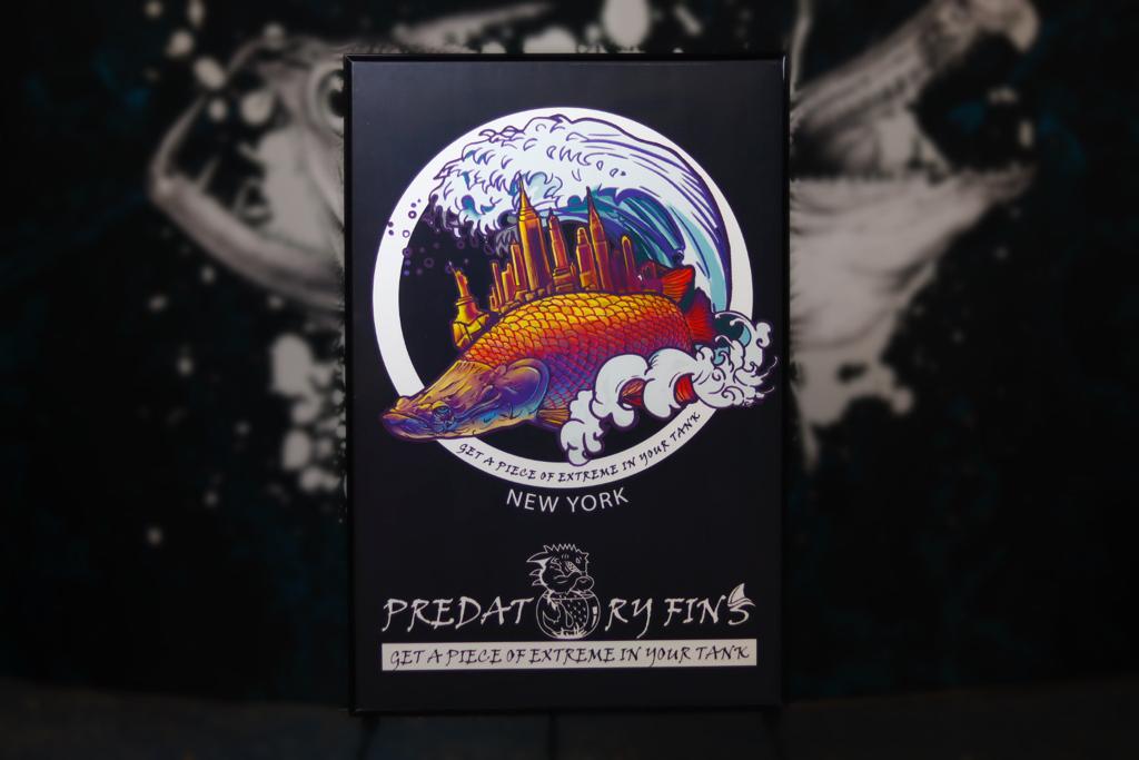 GEAR / MERCH — Predatory Fins